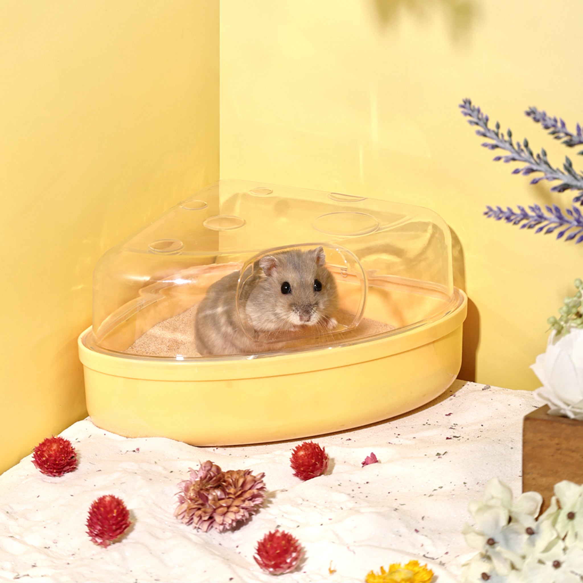 Sand Bath & Container – BUCATSTATE