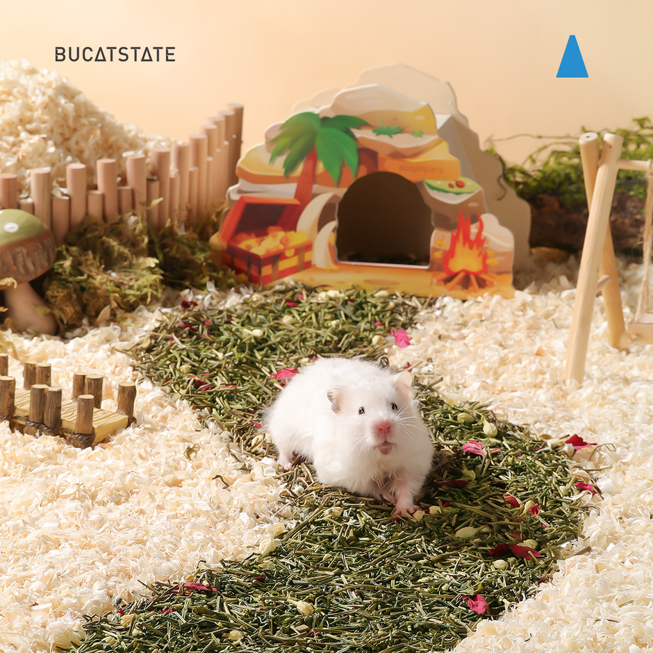 Bedding – BUCATSTATE