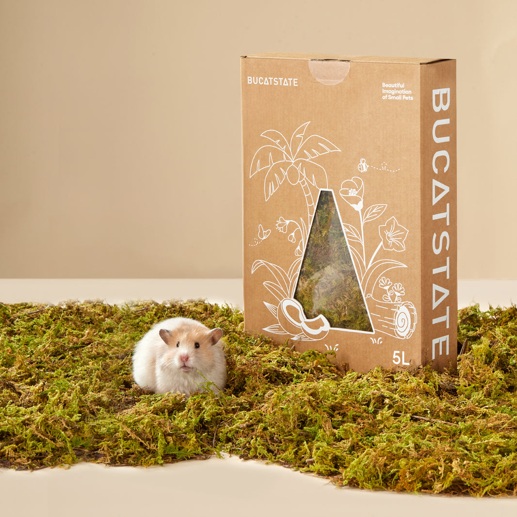Products – BUCATSTATE